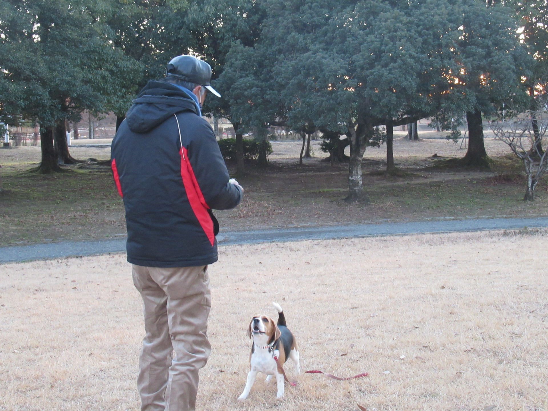 ぽかぽかの気持ちのいい日: 💛💛ペロ＆マル＆クーのスマイル日記💑